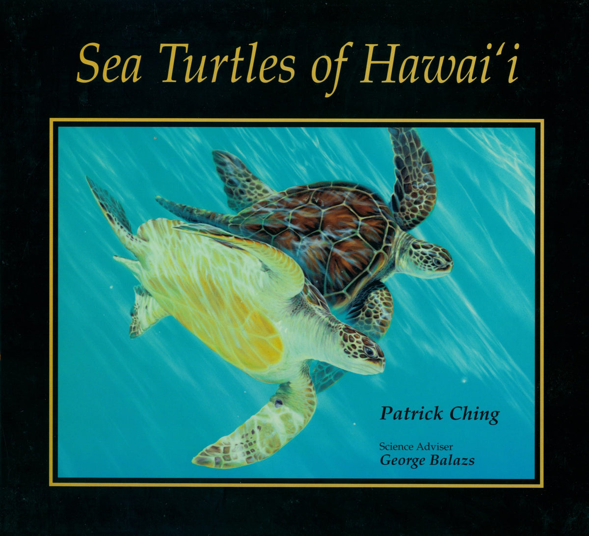 Sea Turtles of Hawaiʻi | Native Books