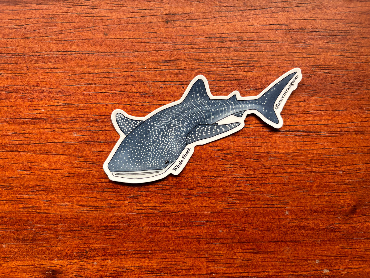 Lauren Trangmar Whale Shark vinyl sticker | Native Books