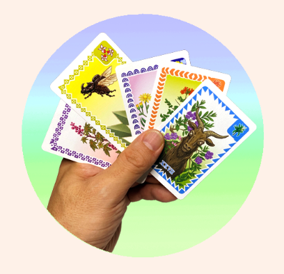 Hanafuda Pilina Deck | Native Books