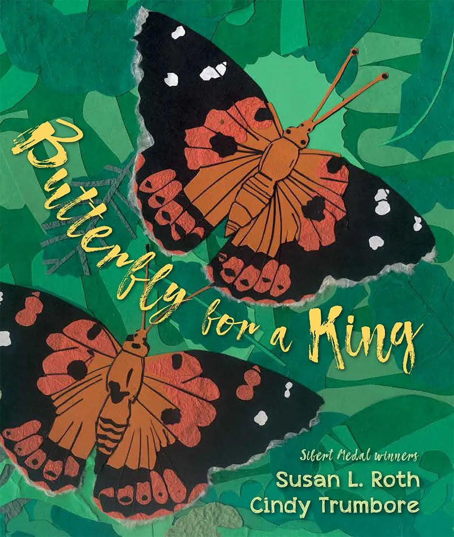 Butterfly for a King: Saving Hawaiʻi’s Kamehameha Butterflies | Native ...