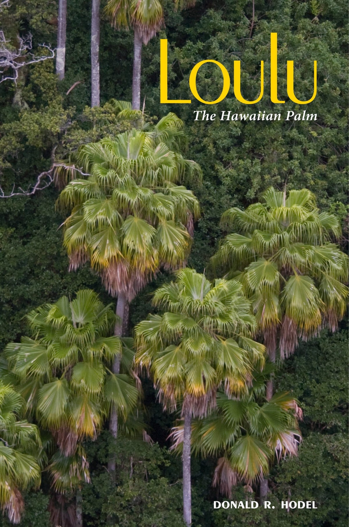 Palm Tree Book