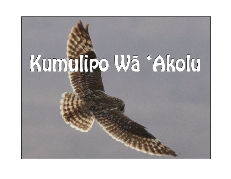 Kumulipo Wā ʻAkolu | Native Books